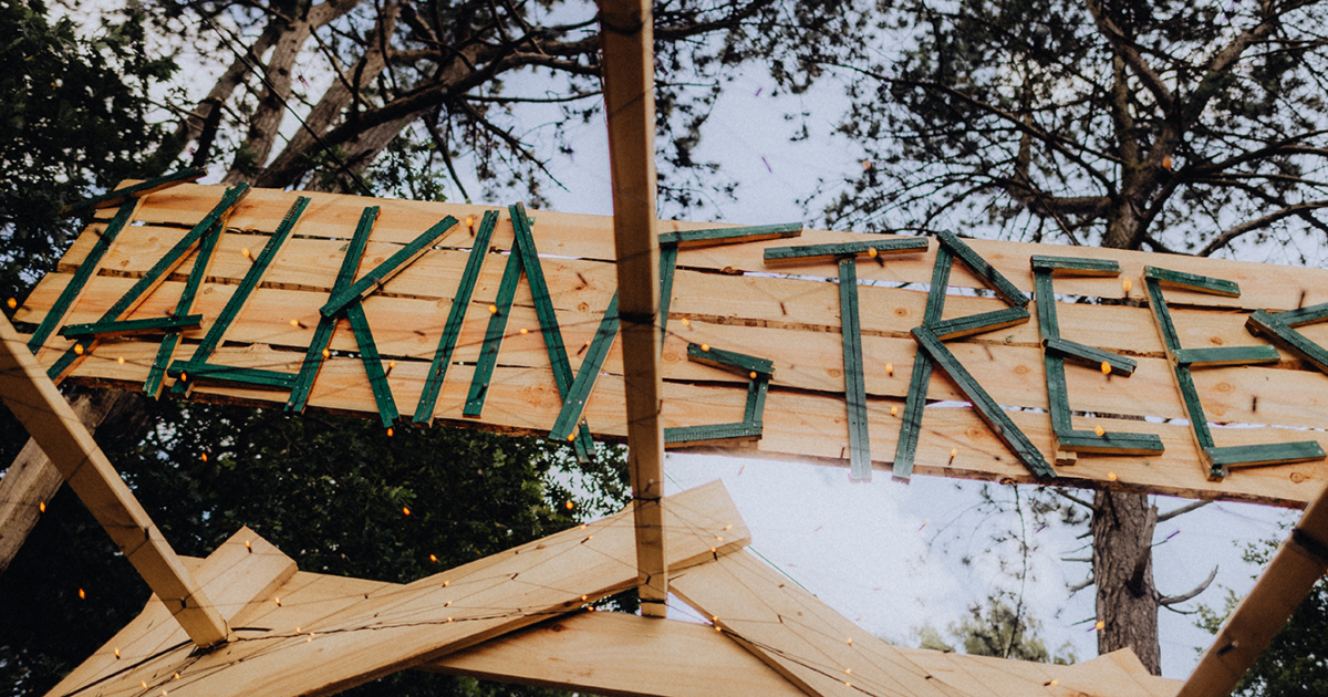 Talking Trees 2024 I DEICHBRAND Festival